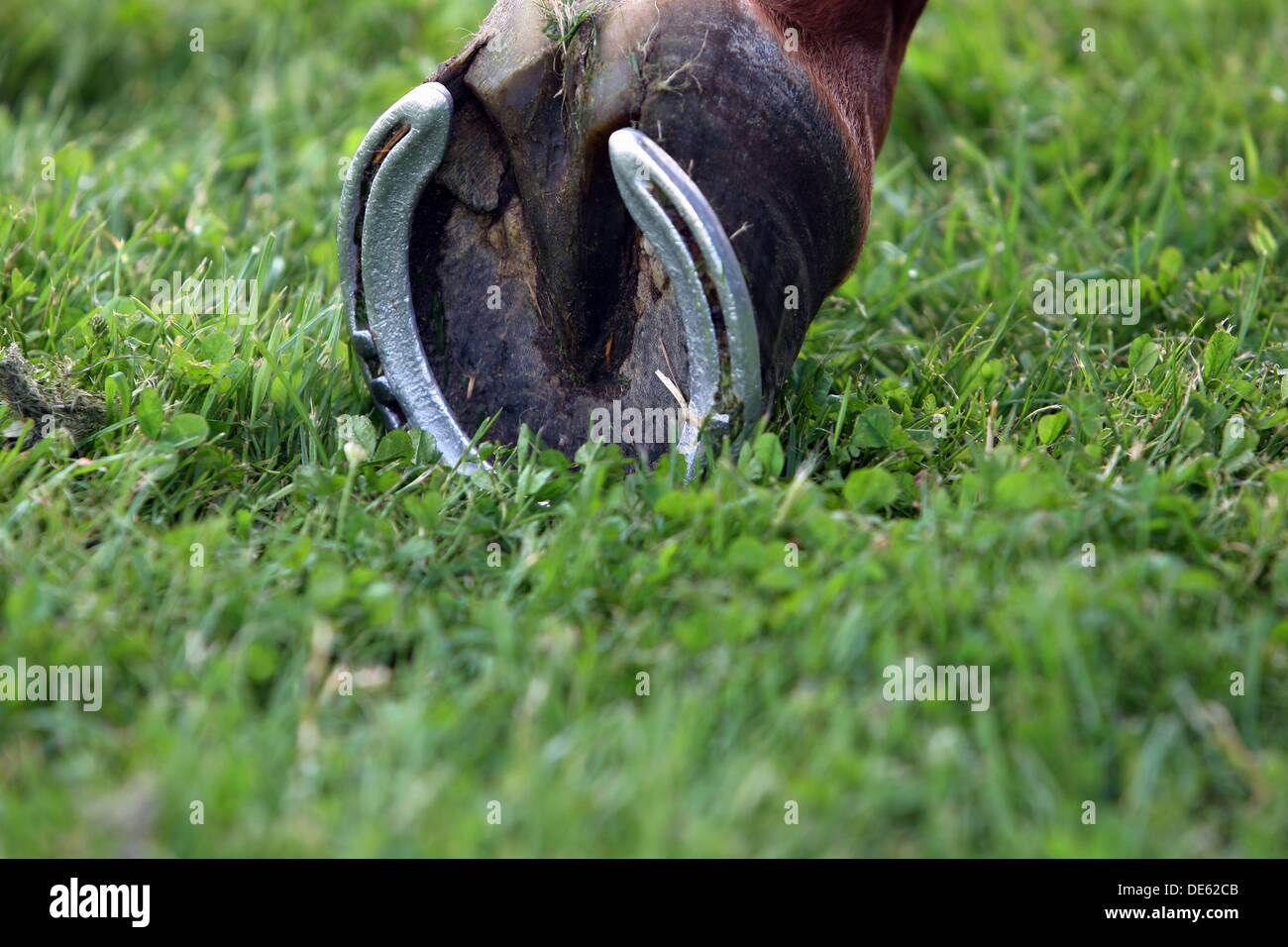 Hannover germany hi-res stock photography and images - Alamy