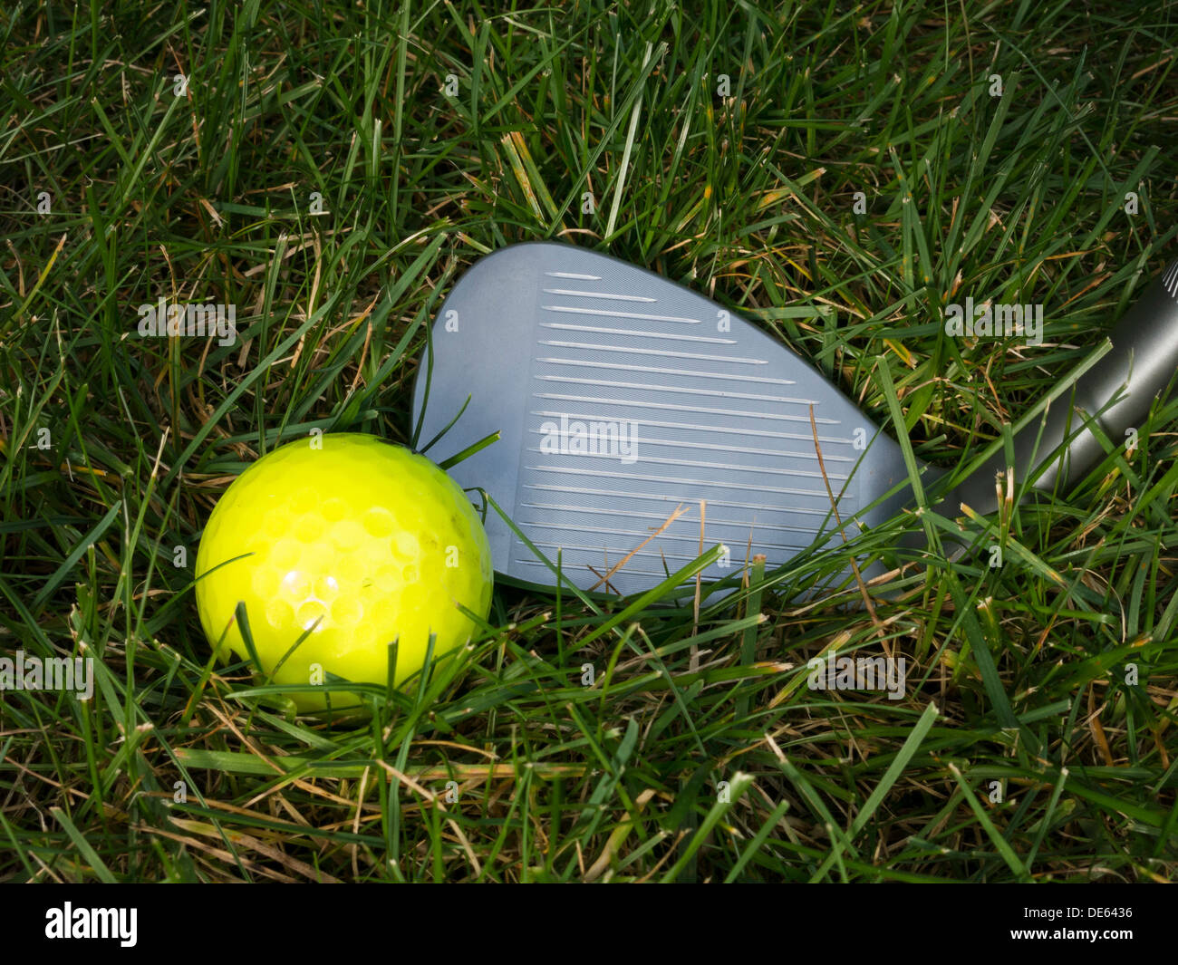 Brightly Colored Yellow Golf Ball and Iron in Grass Stock Photo - Alamy