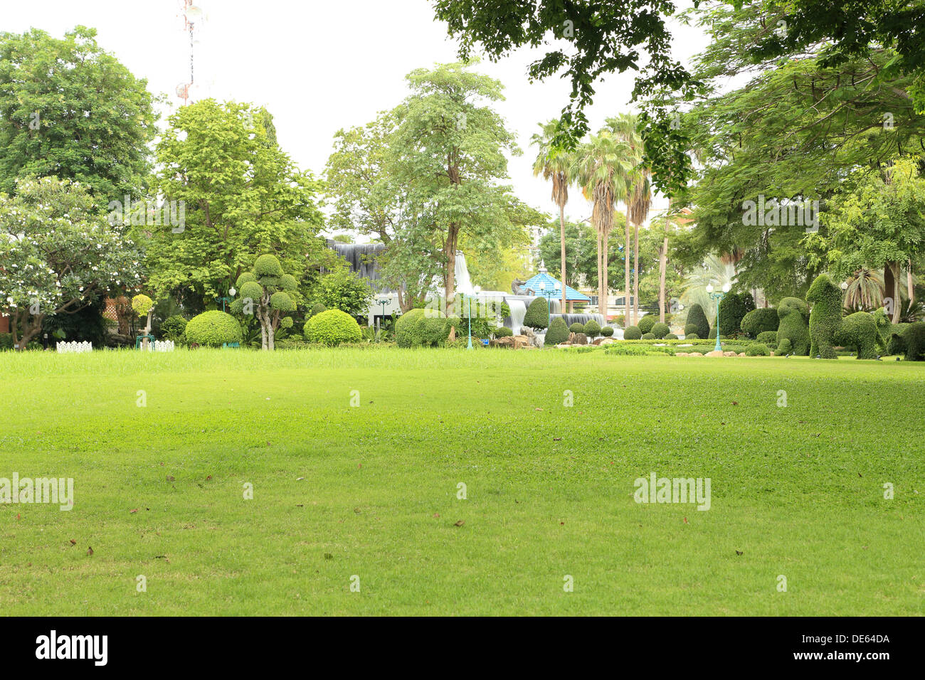 green grass field in big garden Stock Photo - Alamy
