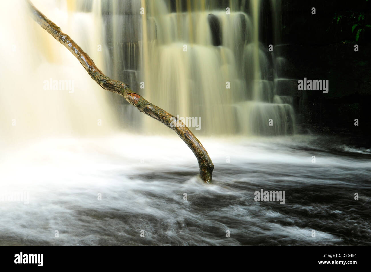 Branch in Waterfall (2 Stock Photo - Alamy