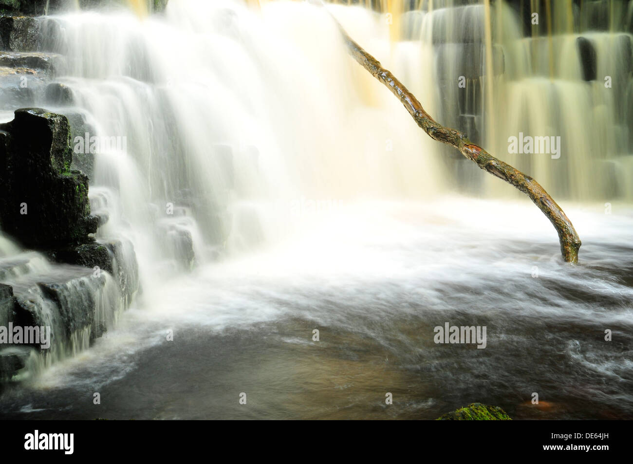 Branch in Waterfall Stock Photo - Alamy