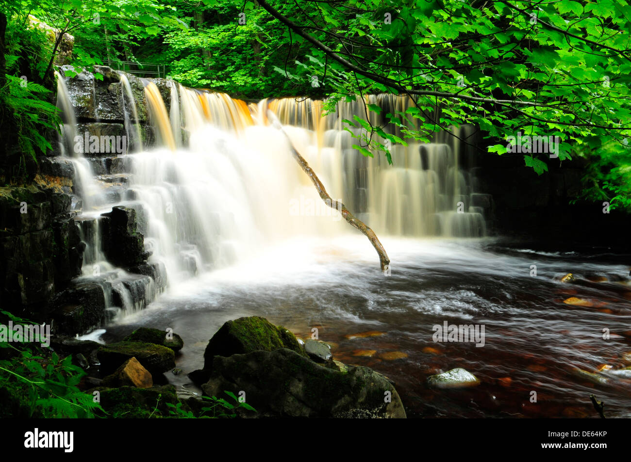 Waterfall in the woods Stock Photo - Alamy