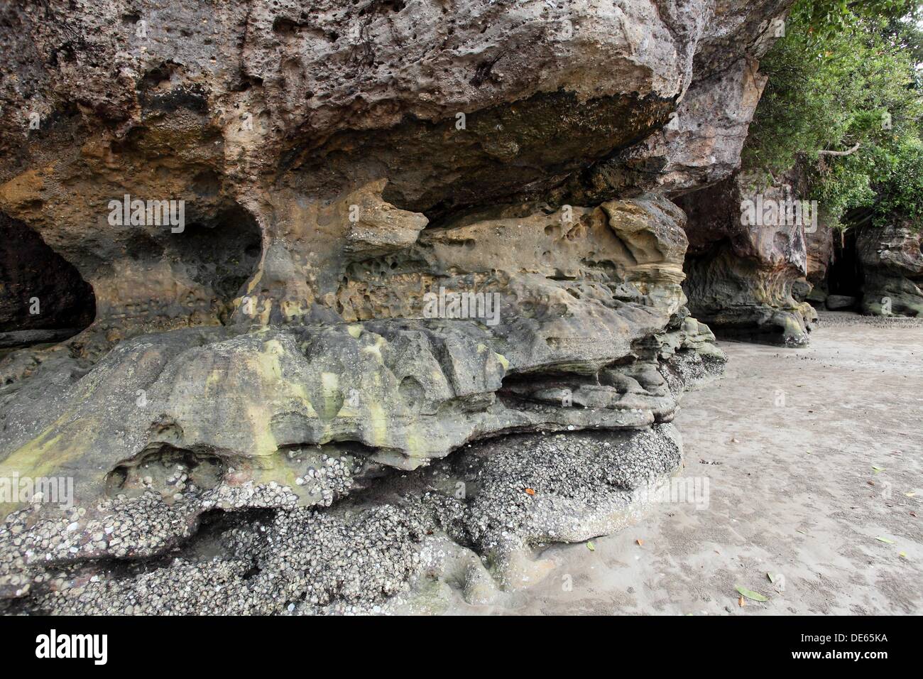 What Is A Dry Reef at Anthony Brunet blog