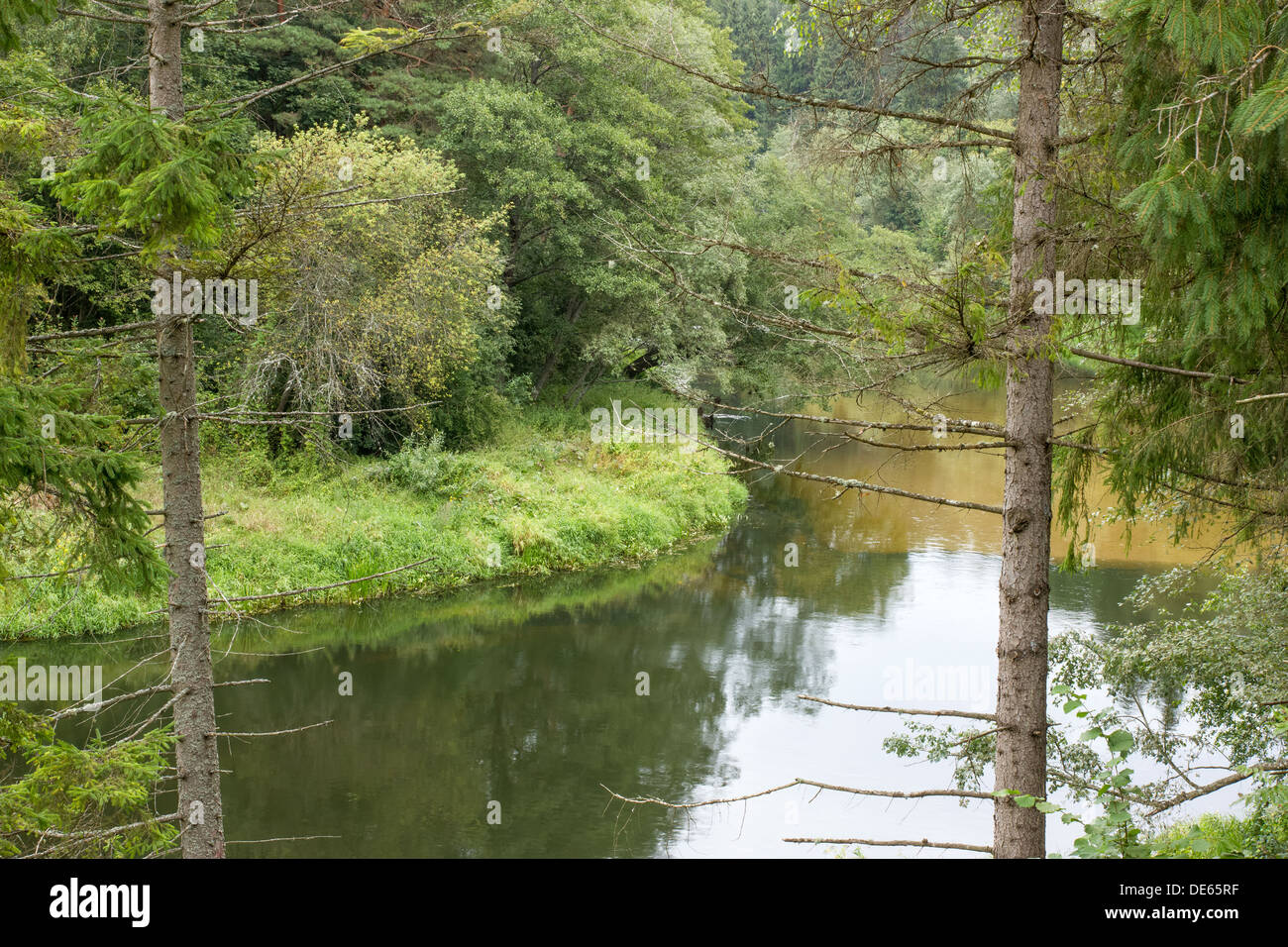 Wild river running trough the green forest Stock Photo - Alamy