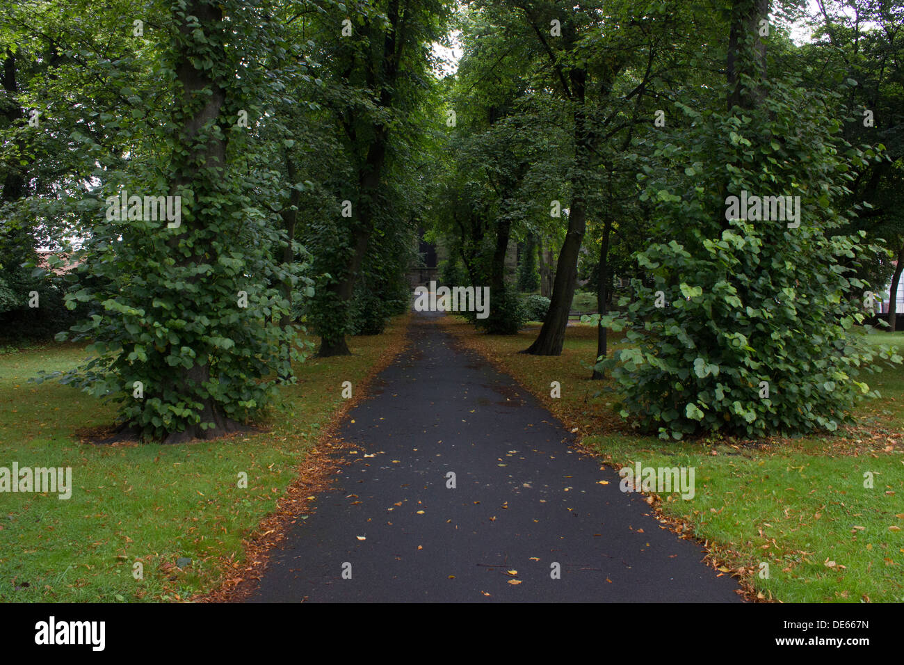 Pathway in a churchyard leading up to the church Stock Photo - Alamy