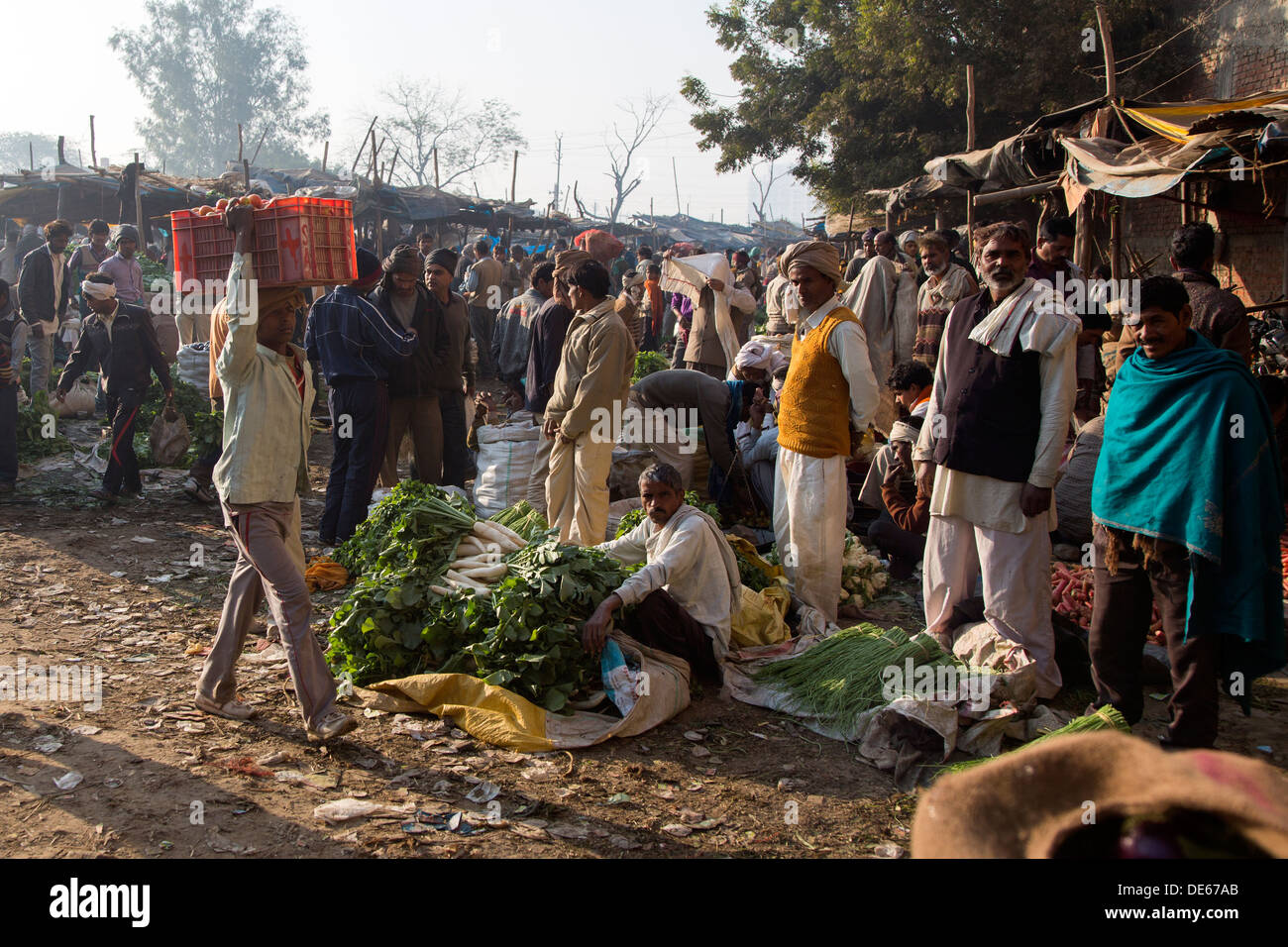 India, Uttar Pradesh, Agra, vegetable market Stock Photo - Alamy