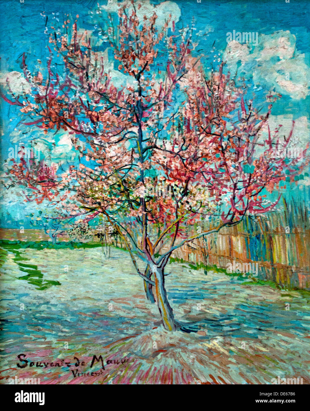 Van gogh pink peach trees hi-res stock photography and images - Alamy