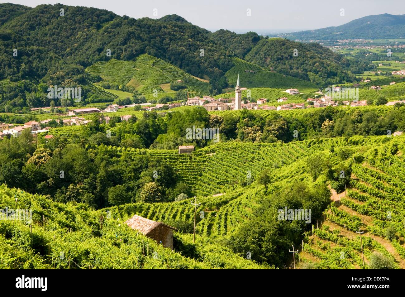 Prosecco Vineyard High Resolution Stock Photography and Images - Alamy
