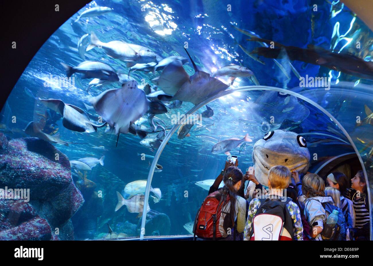 Children from a school class lisiten to a presentation by a shark ...