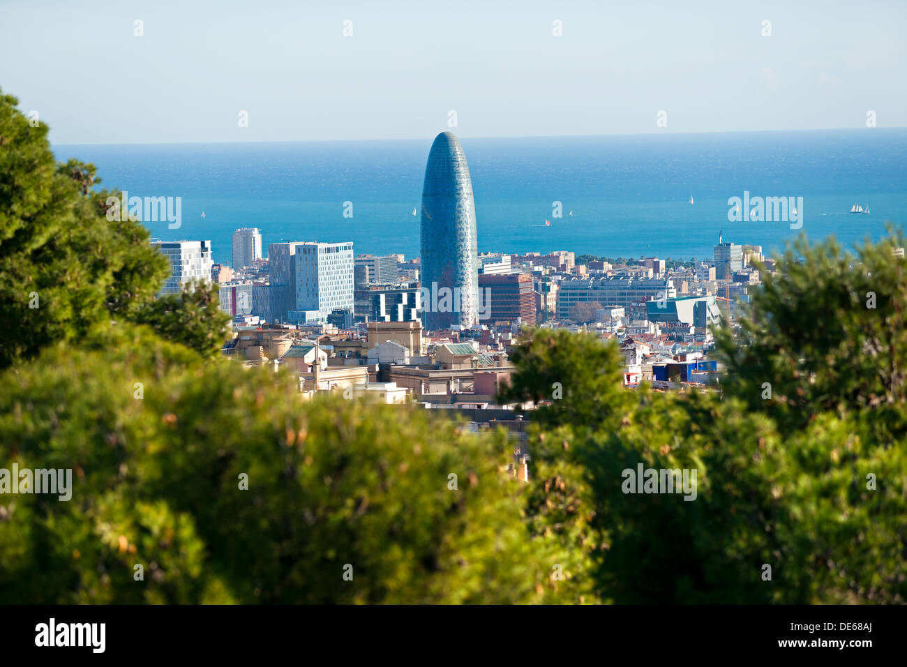 Barcelona sea gherkin hi-res stock photography and images - Alamy