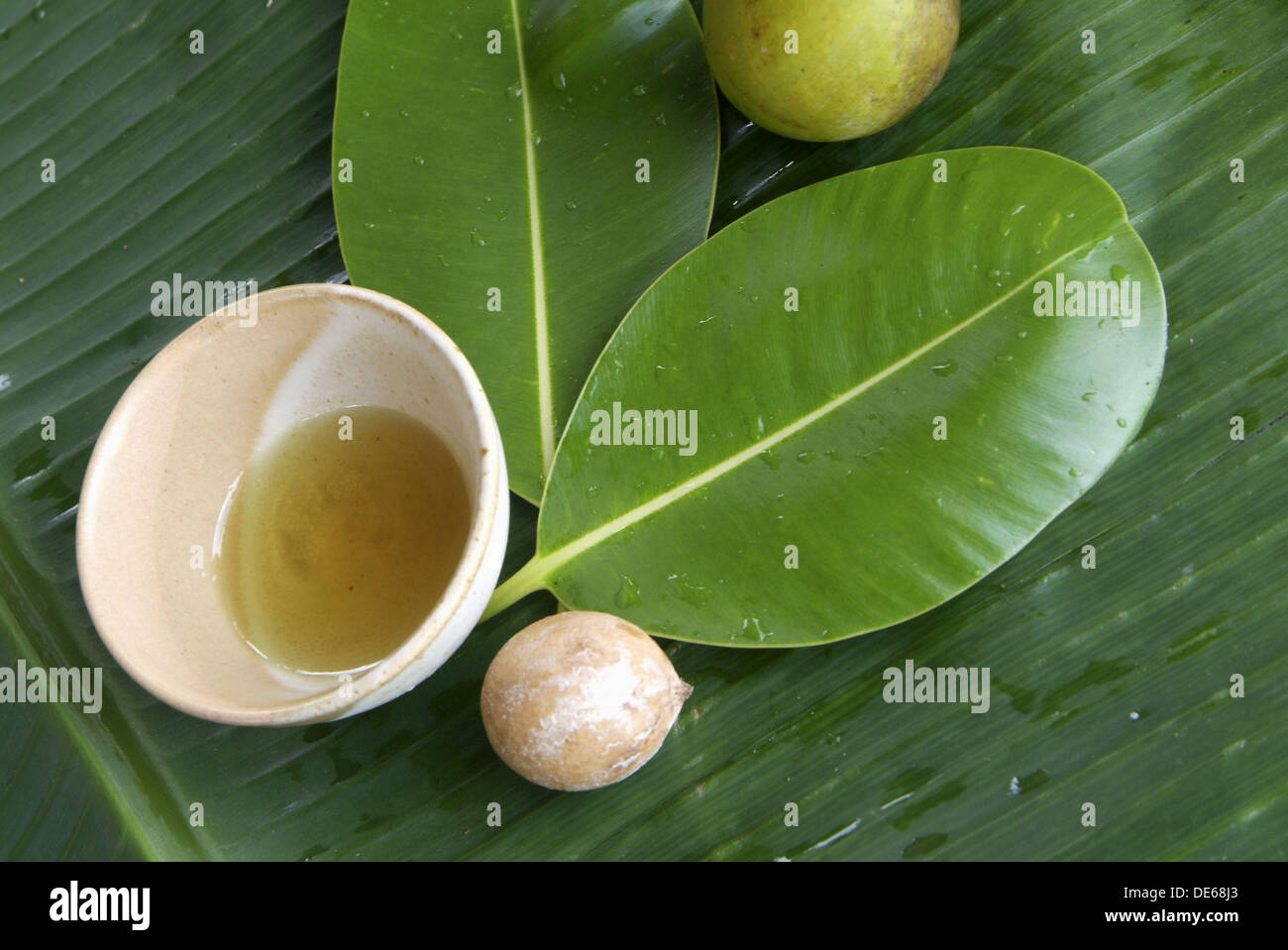 Tiare flower hi-res stock photography and images - Alamy