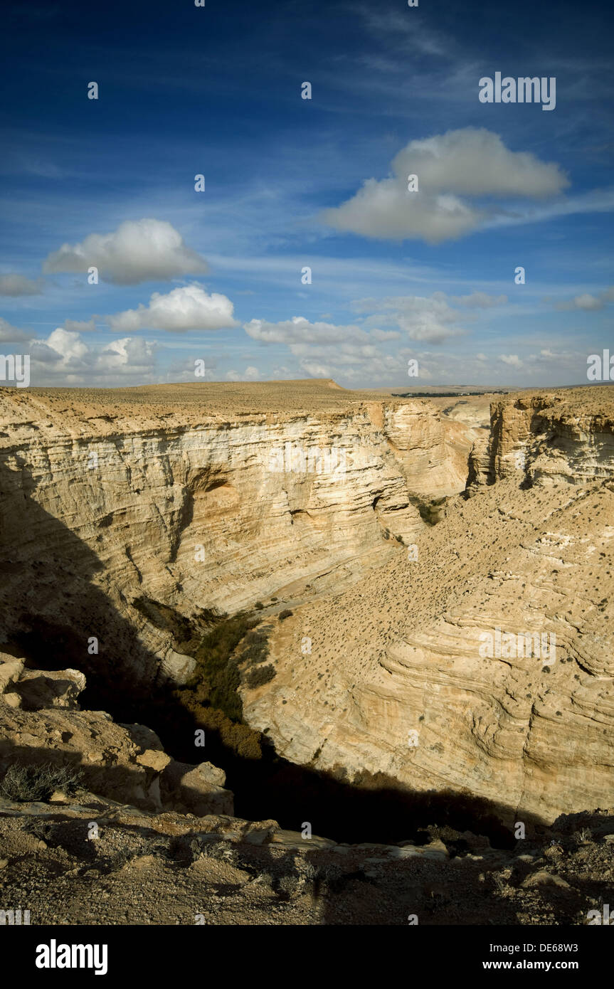 Negeb desert hi-res stock photography and images - Alamy