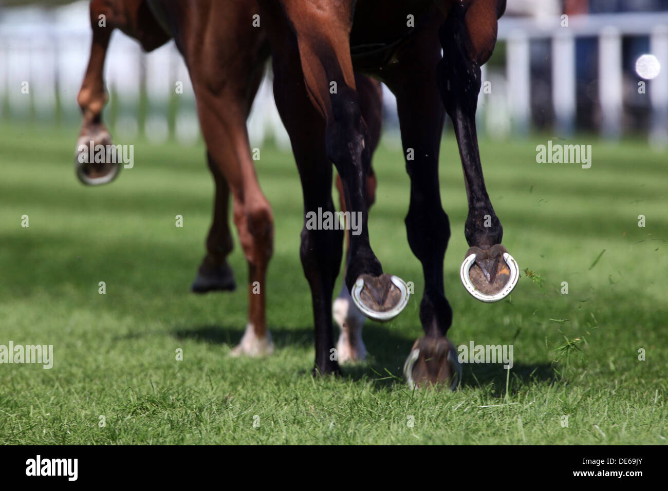 Galloping horse hooves hi-res stock photography and images - Alamy