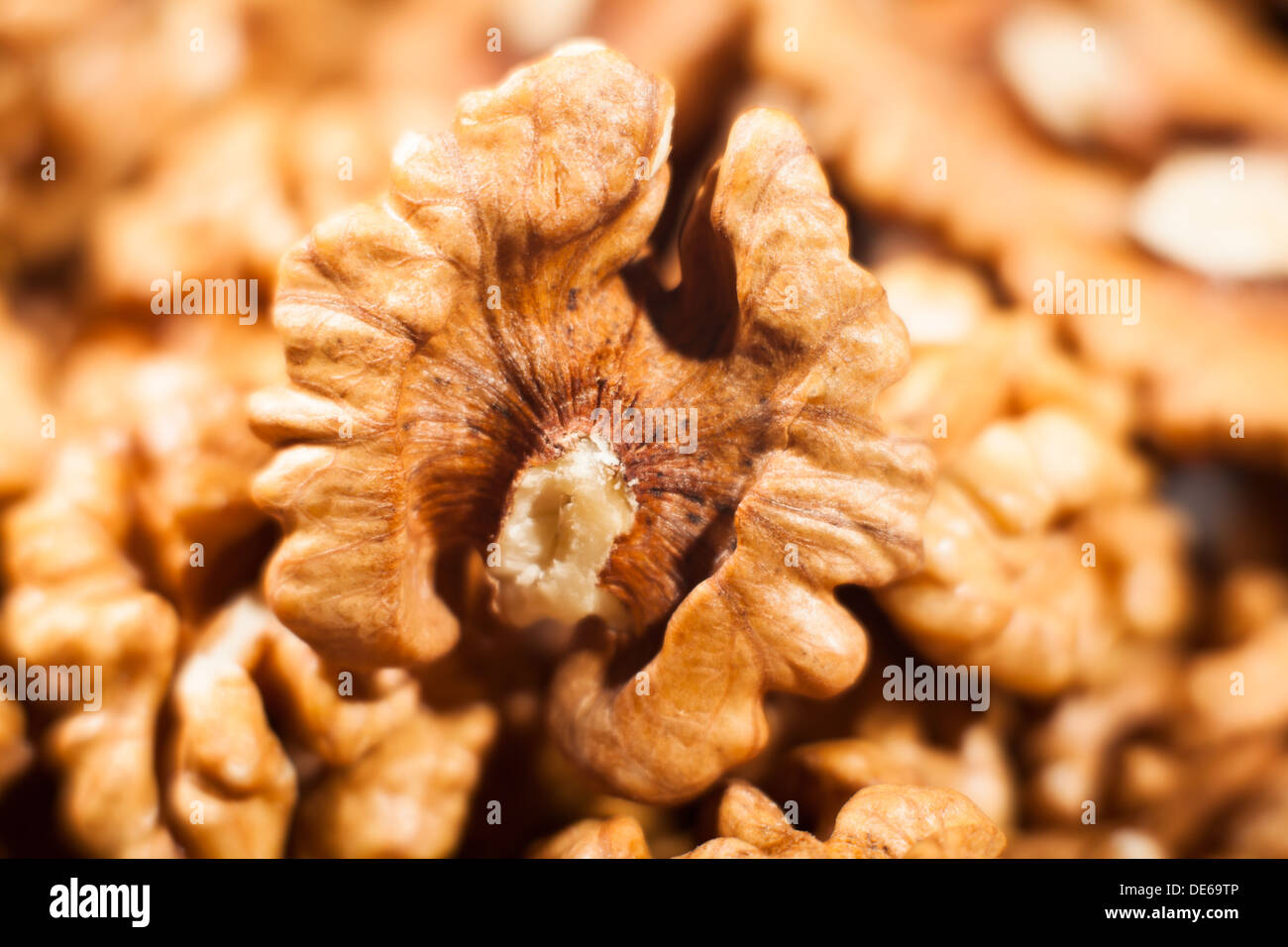 walnut macro closeup half open Stock Photo - Alamy