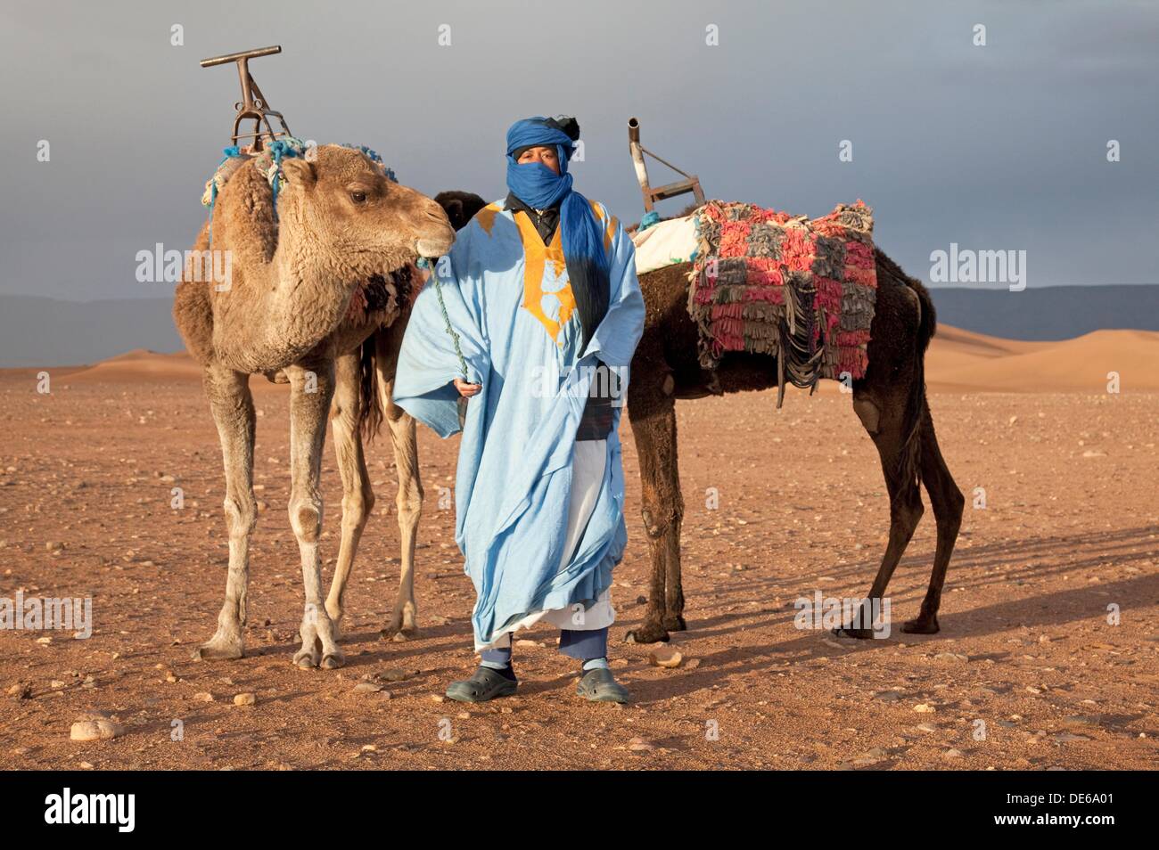 Camel handler hi-res stock photography and images - Alamy