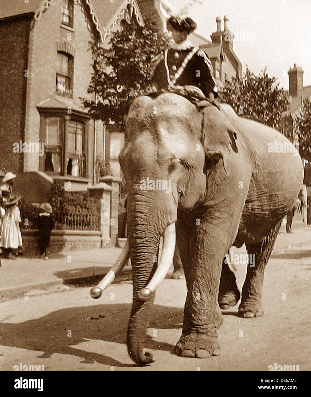 Barnum's Circus in Ramsgate in 1899 Stock Photo - Alamy