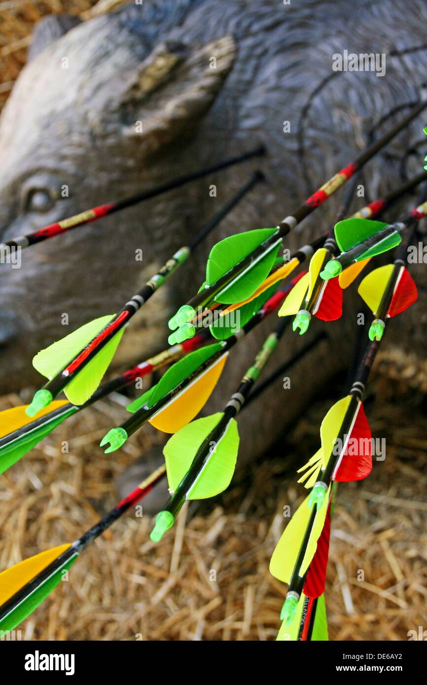 Boar hunting arrow hi-res stock photography and images - Alamy