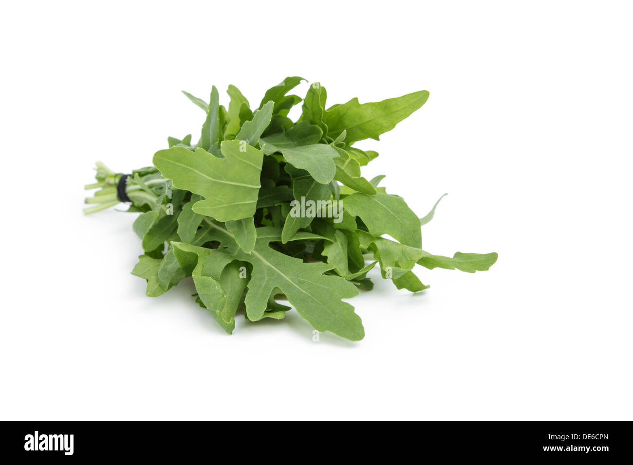 tied bunch of fresh arugula, isolated on white Stock Photo - Alamy