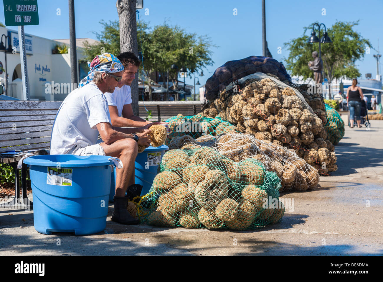Sponge And Diver High Resolution Stock Photography and Images - Alamy