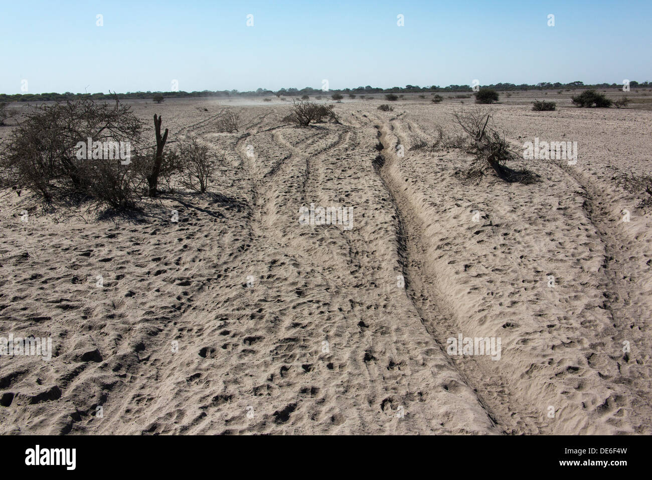 Well-trodden dusty path towards water in the Central Kalahari Stock ...
