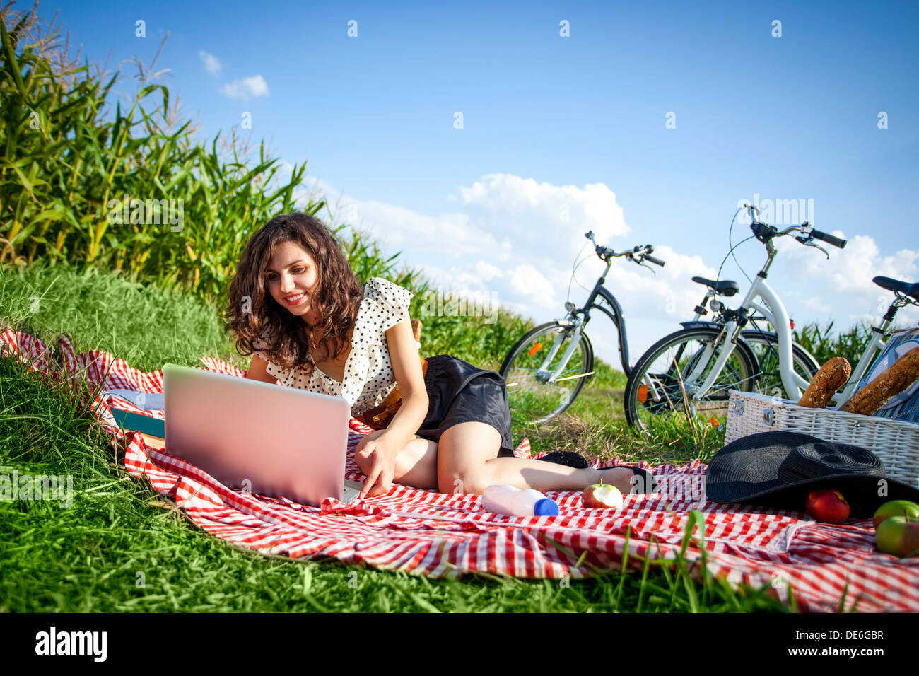 Women, picnic and computer! On grass in summer Stock Photo - Alamy
