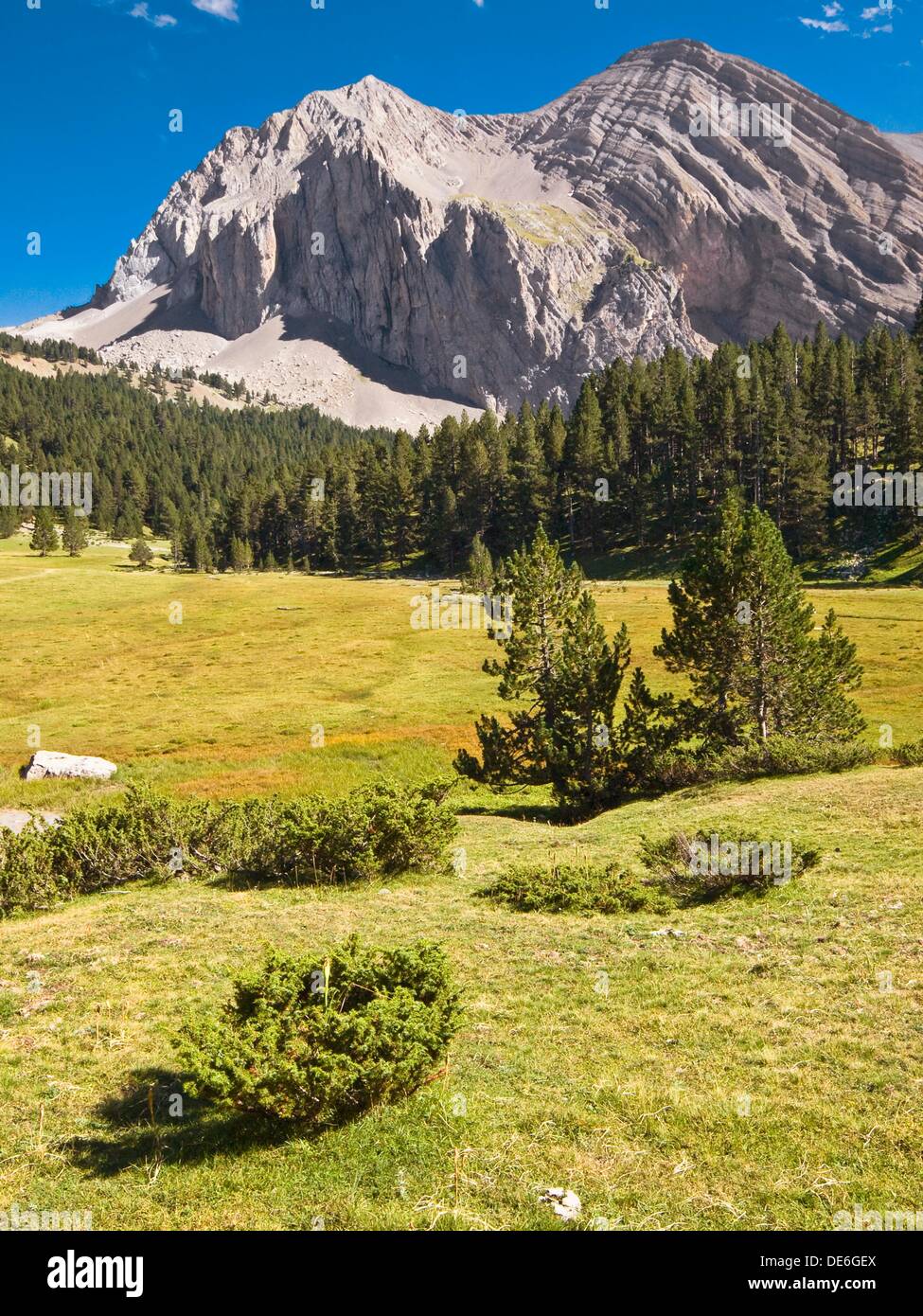 Pastizales hi-res stock photography and images - Alamy