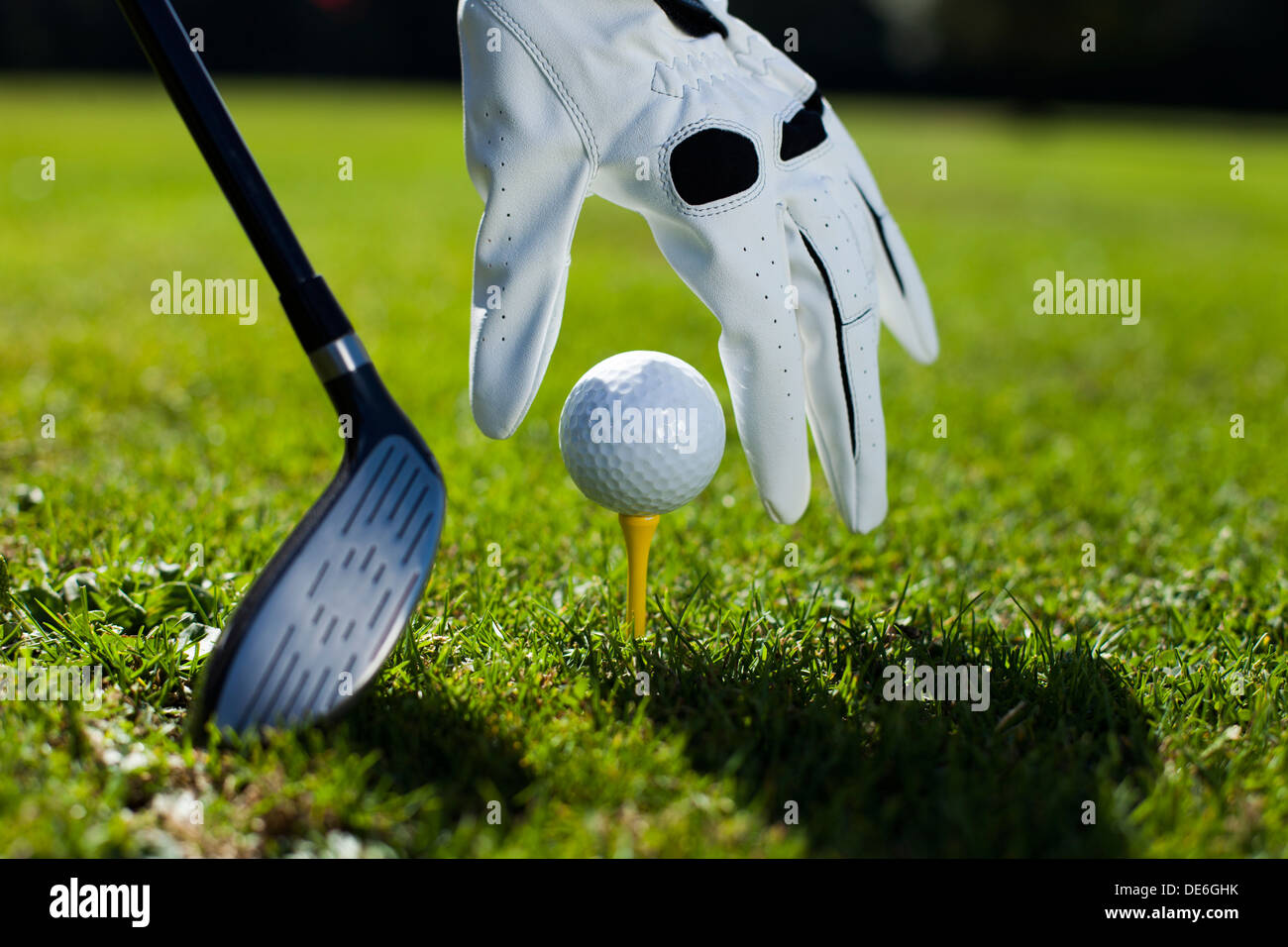 set golf ball on a peg Stock Photo - Alamy