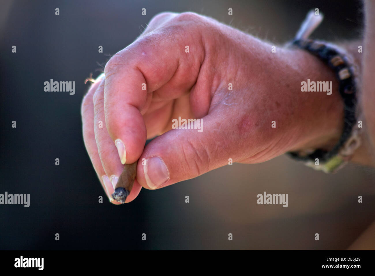 hand holding cigar being smoked Stock Photo - Alamy