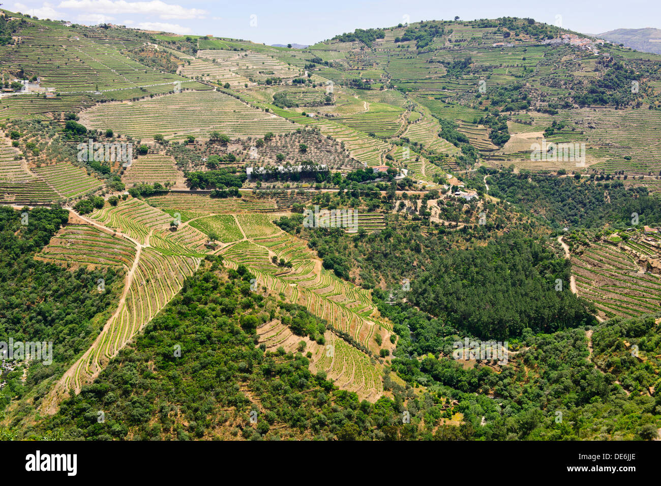 Views of Quinta Nova Vinyards,Estate,River Douro,Vines,Terraces ...