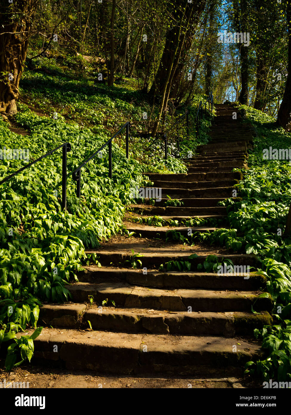 Stone steps at Lovers Walk an ancient park in Matlock Bath a spa resort ...