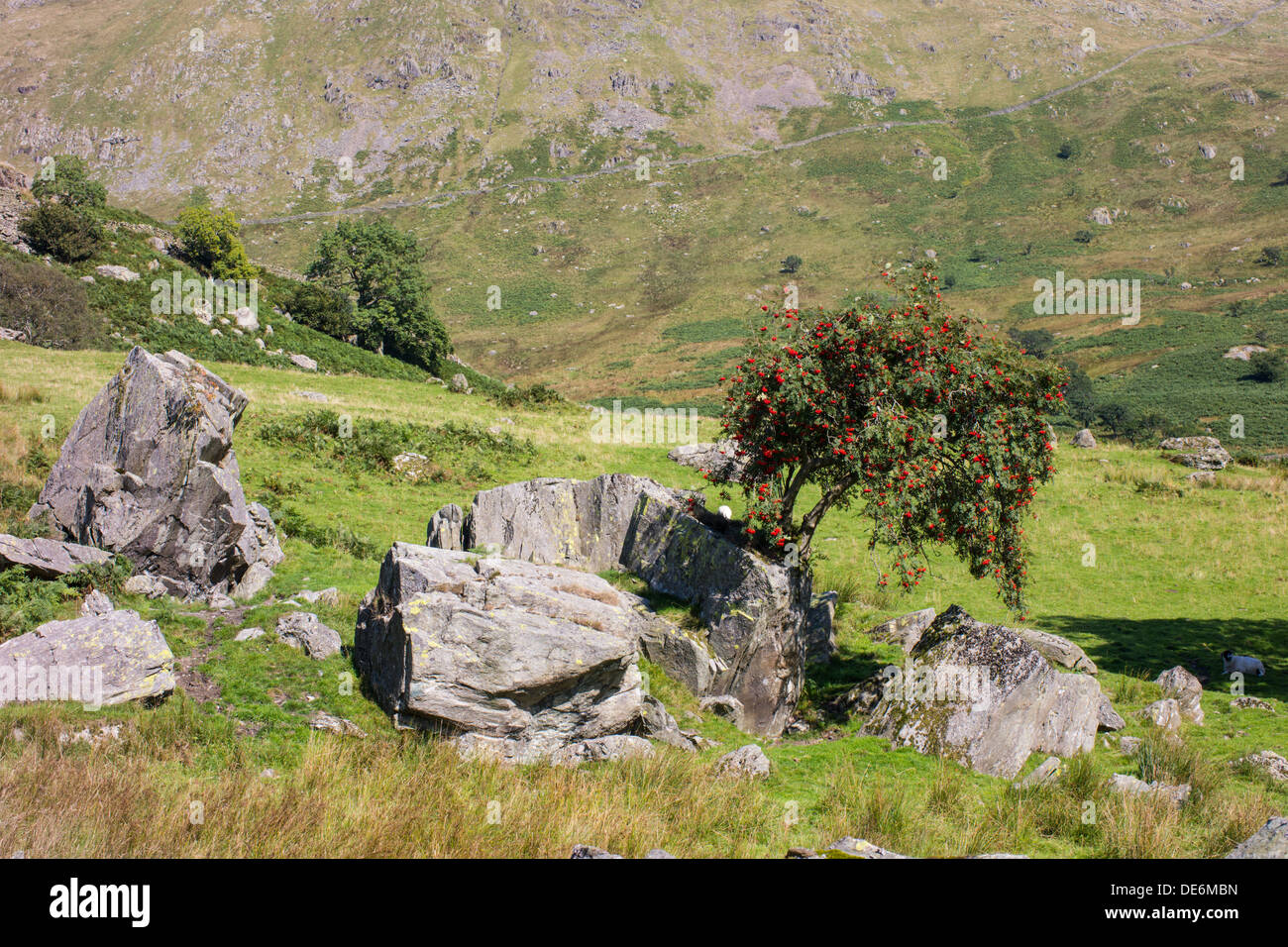 Kentmere valley in the lake district Stock Photo - Alamy