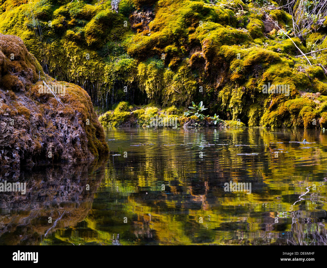 Detail of tufa rock pool at a thermal spring in Matlock Bath a spa ...