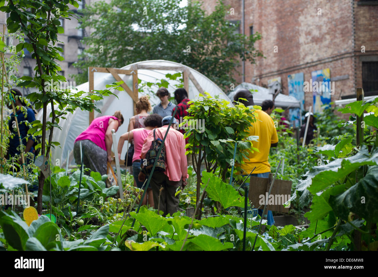 Harlem community hi-res stock photography and images - Alamy