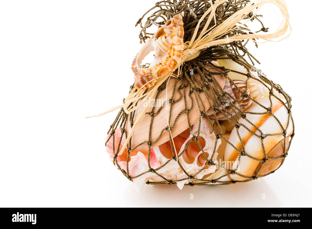 Sea shells in fishing net on a white background Stock Photo - Alamy