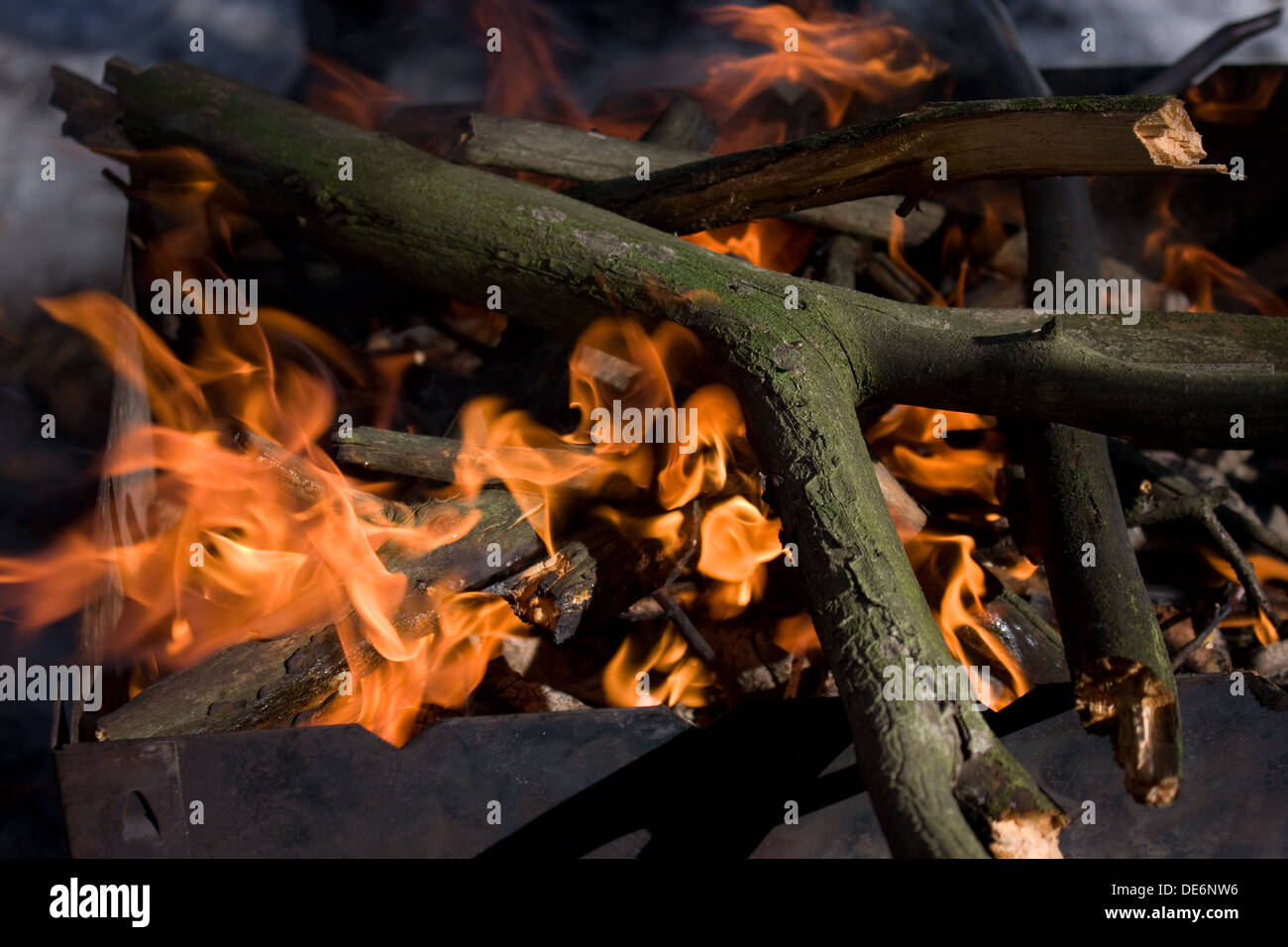 Close up burning thick branches hi-res stock photography and images - Alamy