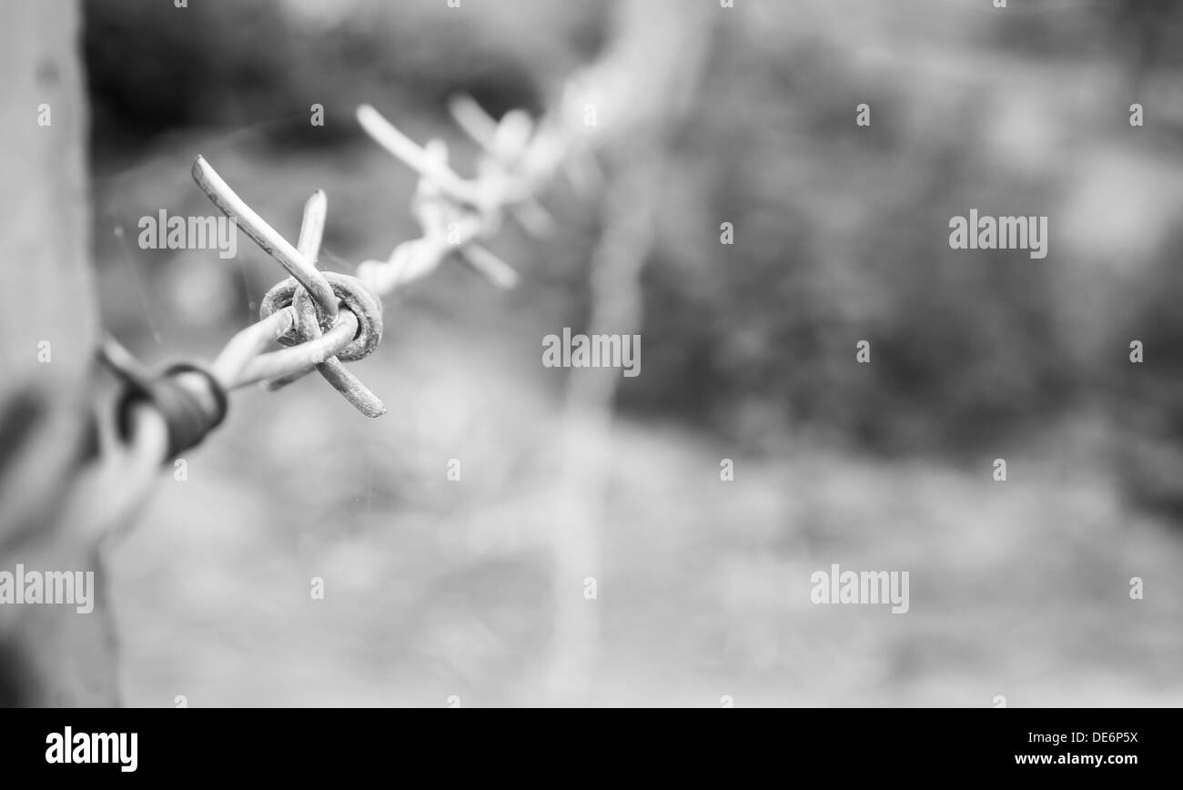 Property line up Black and White Stock Photos & Images - Alamy