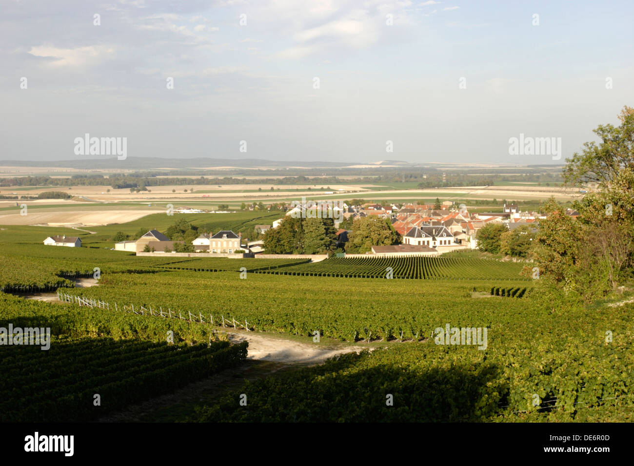 Champagne Vineyards France Stock Photo - Alamy
