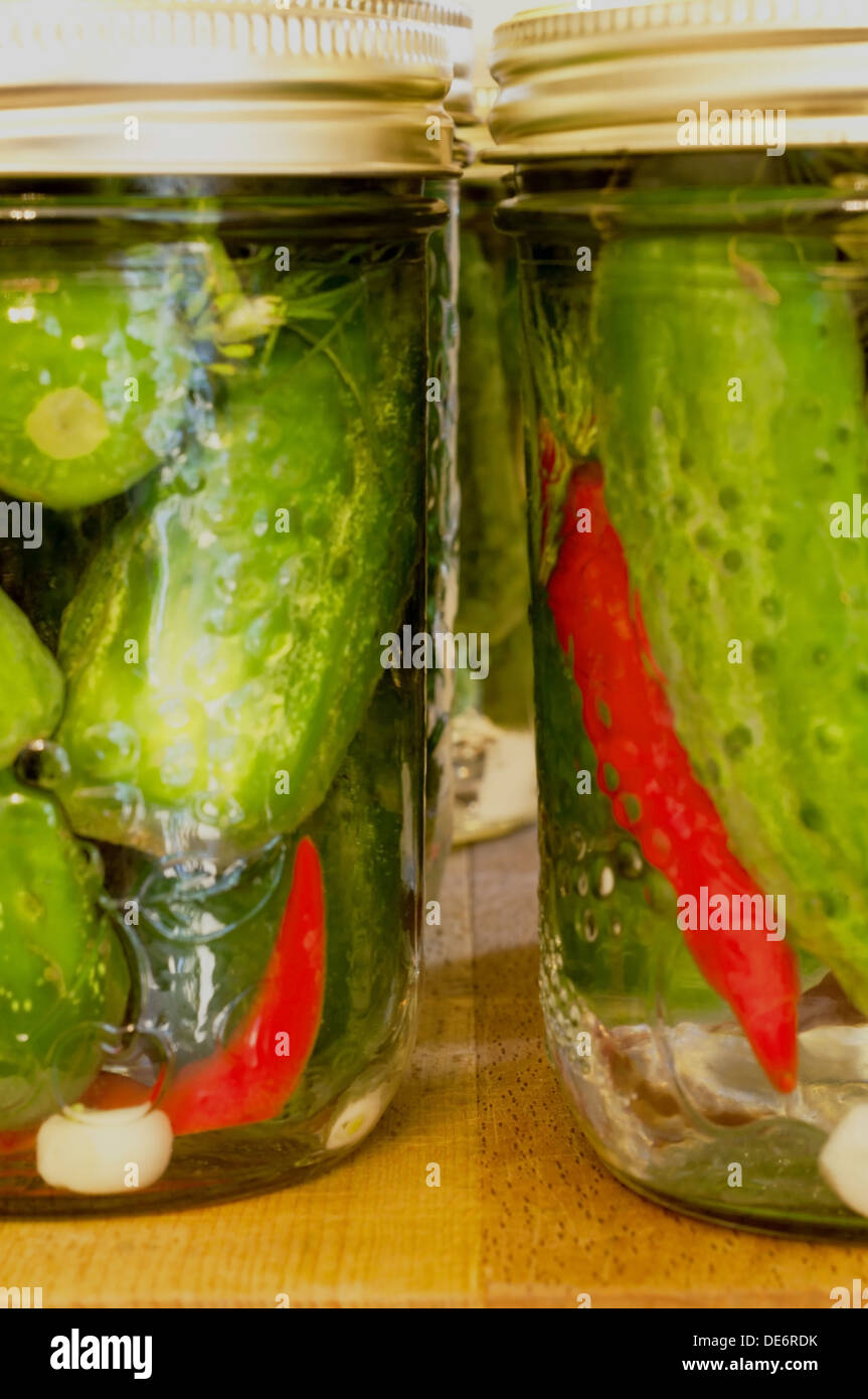 How to make dill pickles hi-res stock photography and images - Alamy