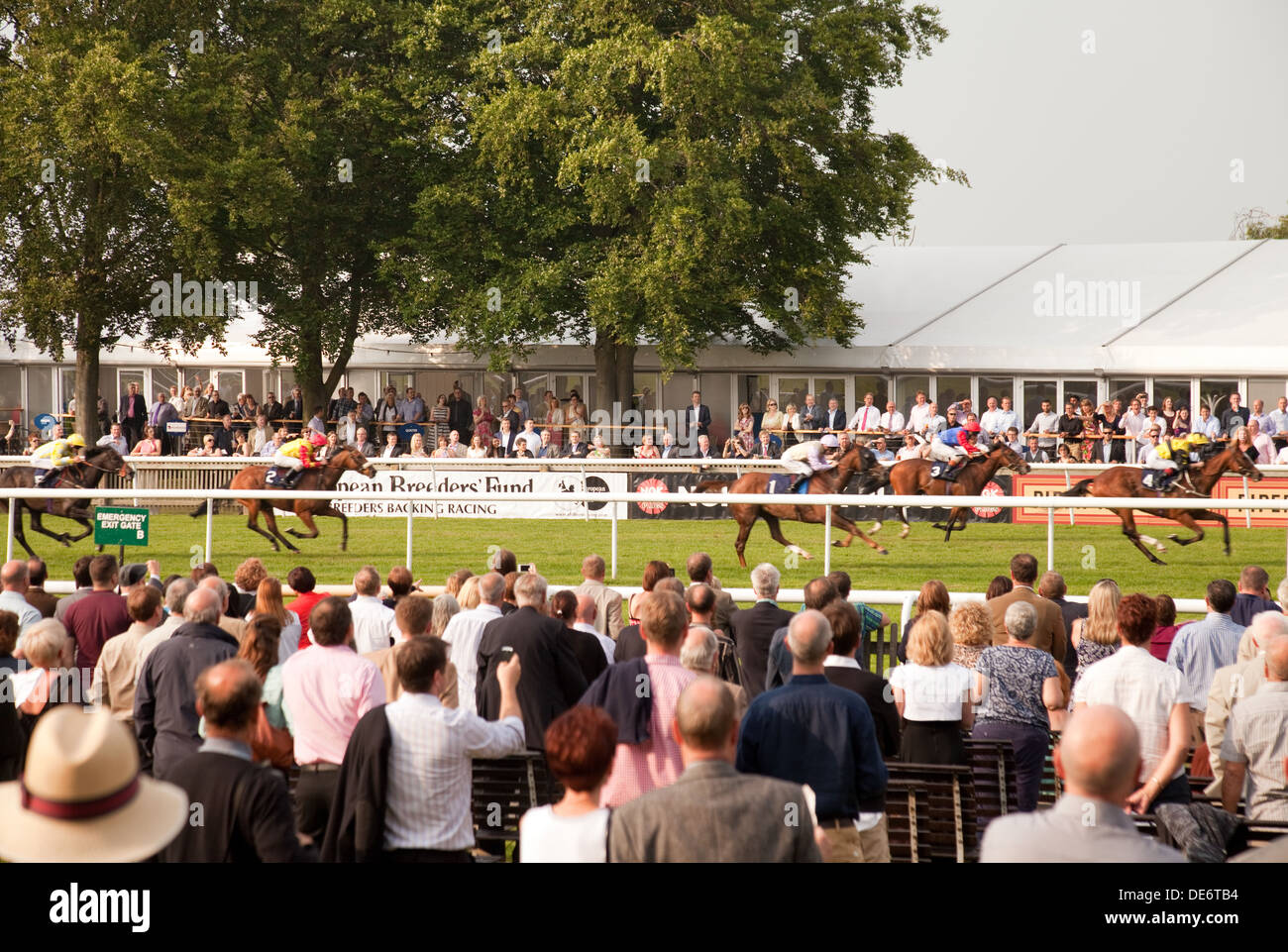 Racing newmarket racecourse High Resolution Stock Photography and ...