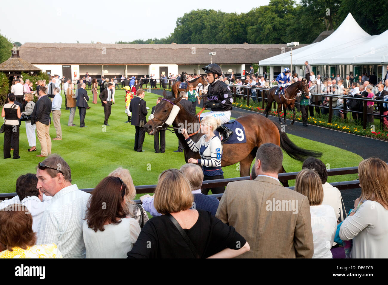 Paddock racing hi-res stock photography and images - Alamy