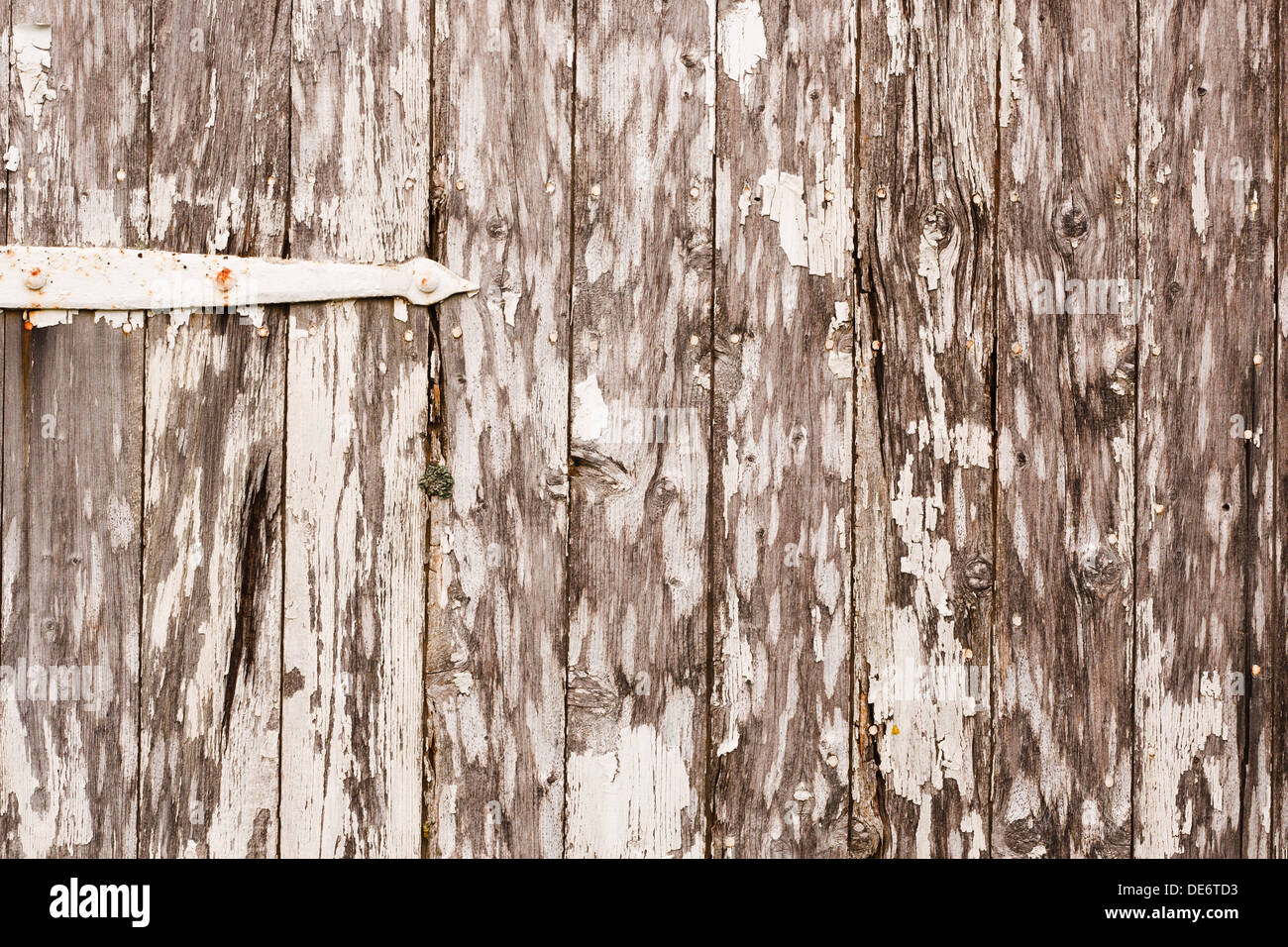 Decaying wood texture hi-res stock photography and images - Alamy