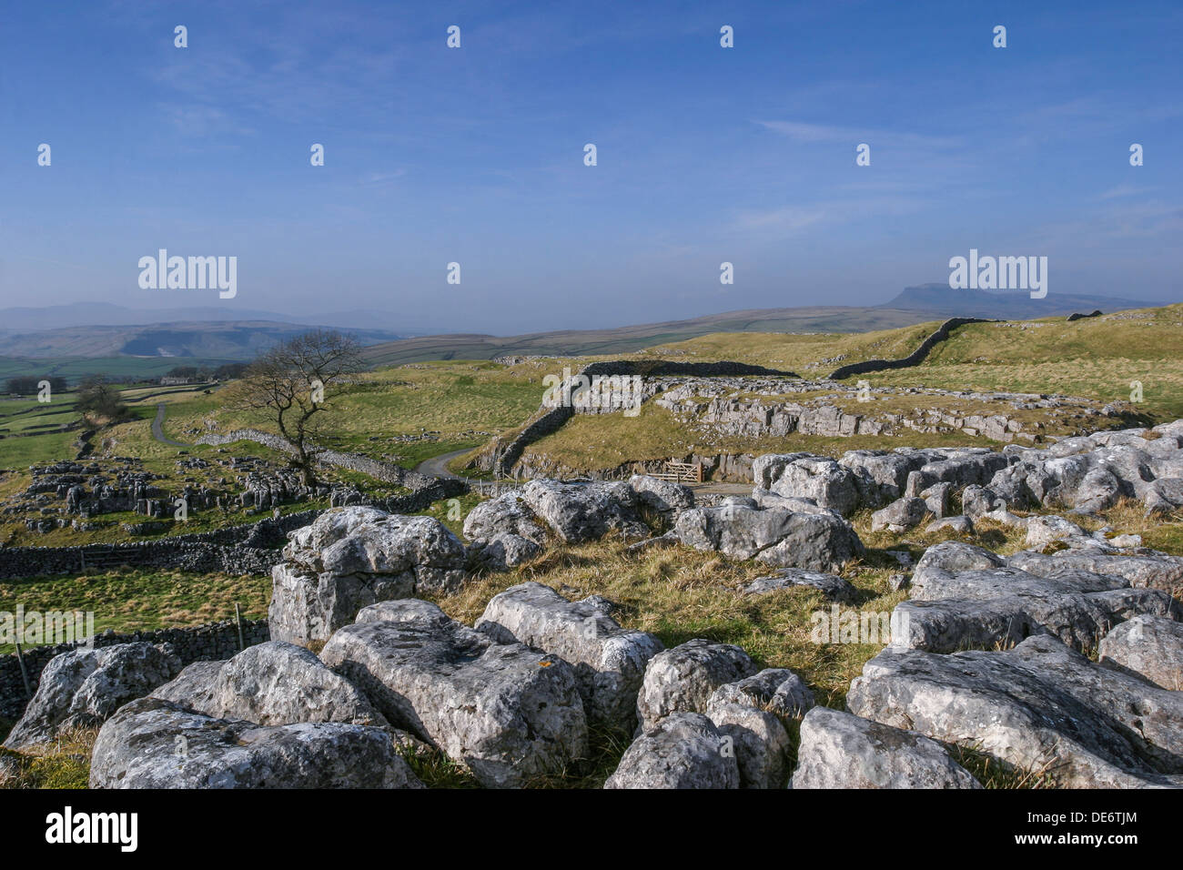 Limestone pavement, Ingleborough, Yorkshire Dales National Park, North ...