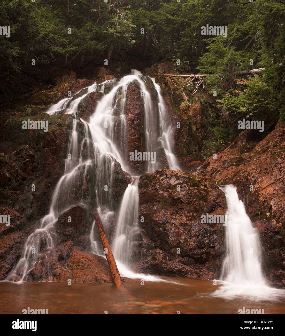 Wet environment hi-res stock photography and images - Alamy