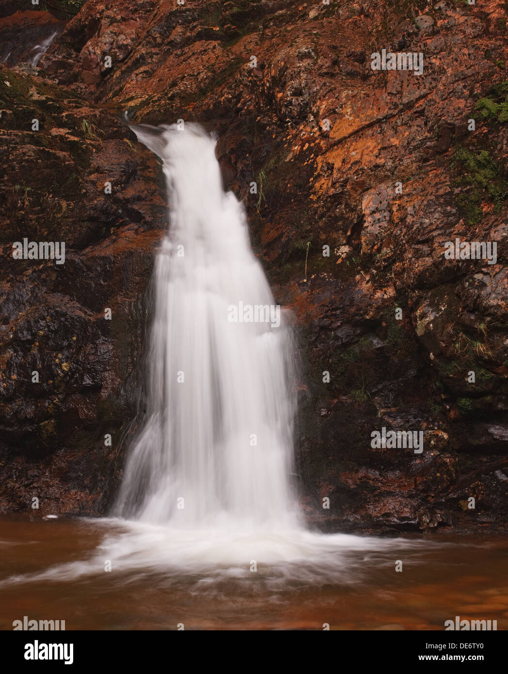 Wet environment hi-res stock photography and images - Alamy