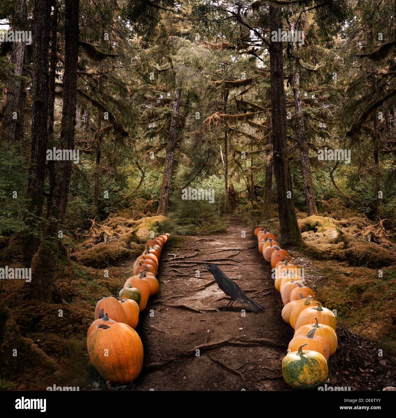 Horror Background With Spooky Trees And Pumpkins Stock Photo - Alamy