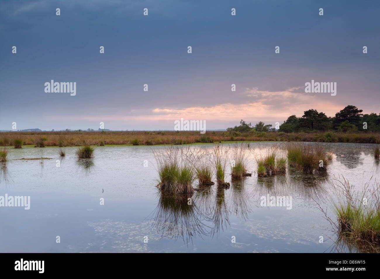 clouded gloomy sunset over wild lake, Fochteloerveen, Drenthe ...