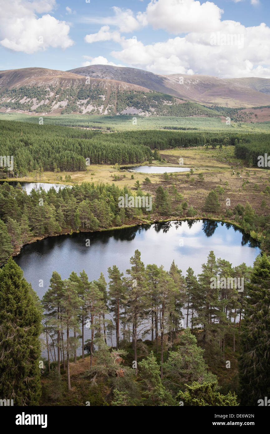 Uath Lochans in the Cairngorm national park, Glen Feshie , Scotland ...