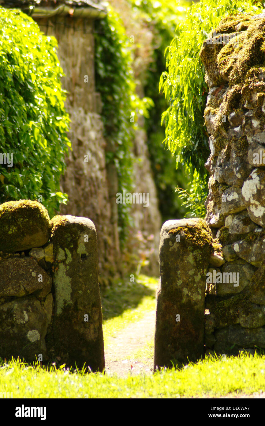Old stone squeeze stile in drystone wall leading from pasture to ...