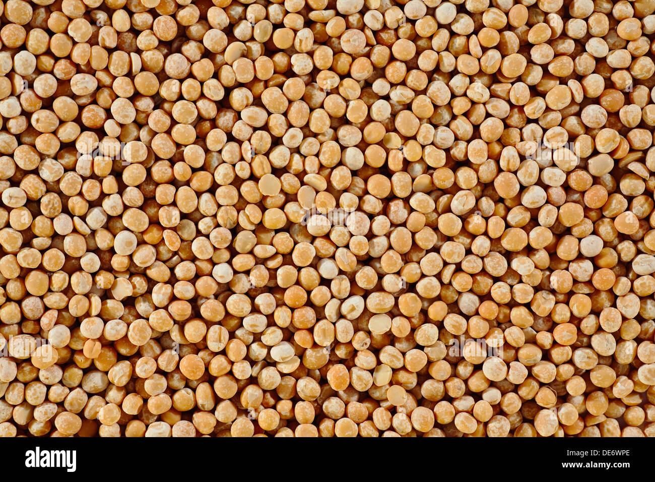 The texture of gold coarse dry peas horizontal Stock Photo - Alamy