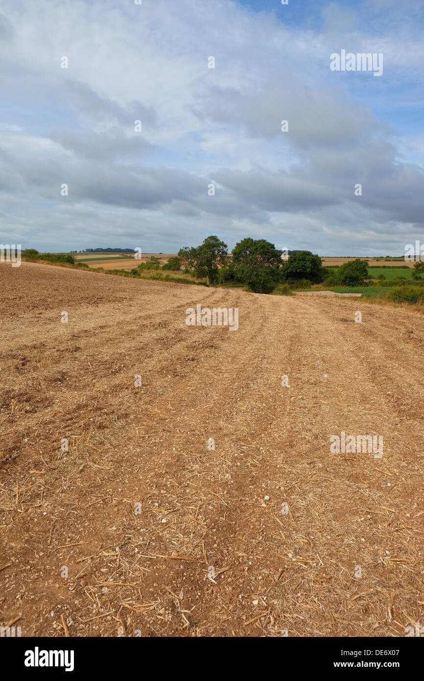 A cultivated stubble field by the Minster way footpath in the Yorkshire ...